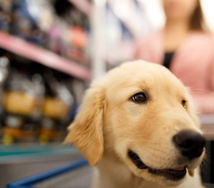 Pet Food Pulse | Tree Top - Ingredients